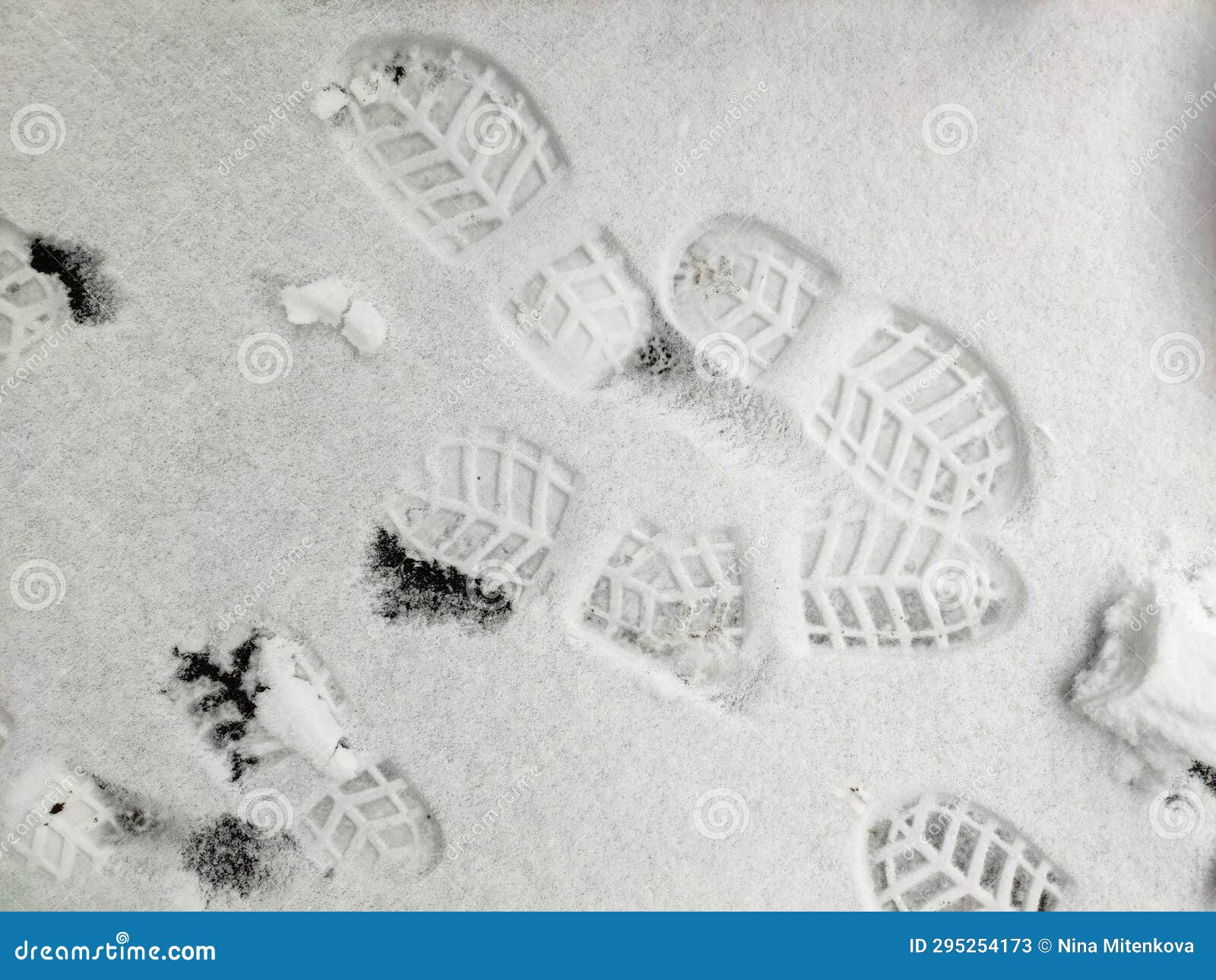 Steps on the First Snow. Footprints in the Snow Stock Image - Image of ...