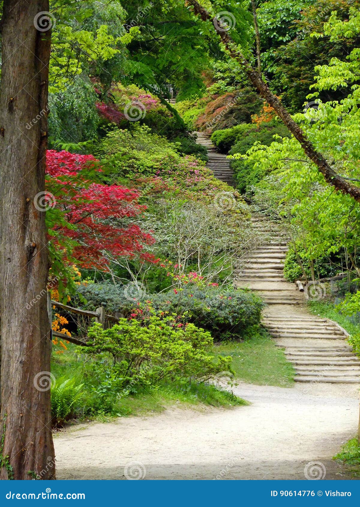 Steps on a footpath stock photo. Image of steps, britain - 90614776