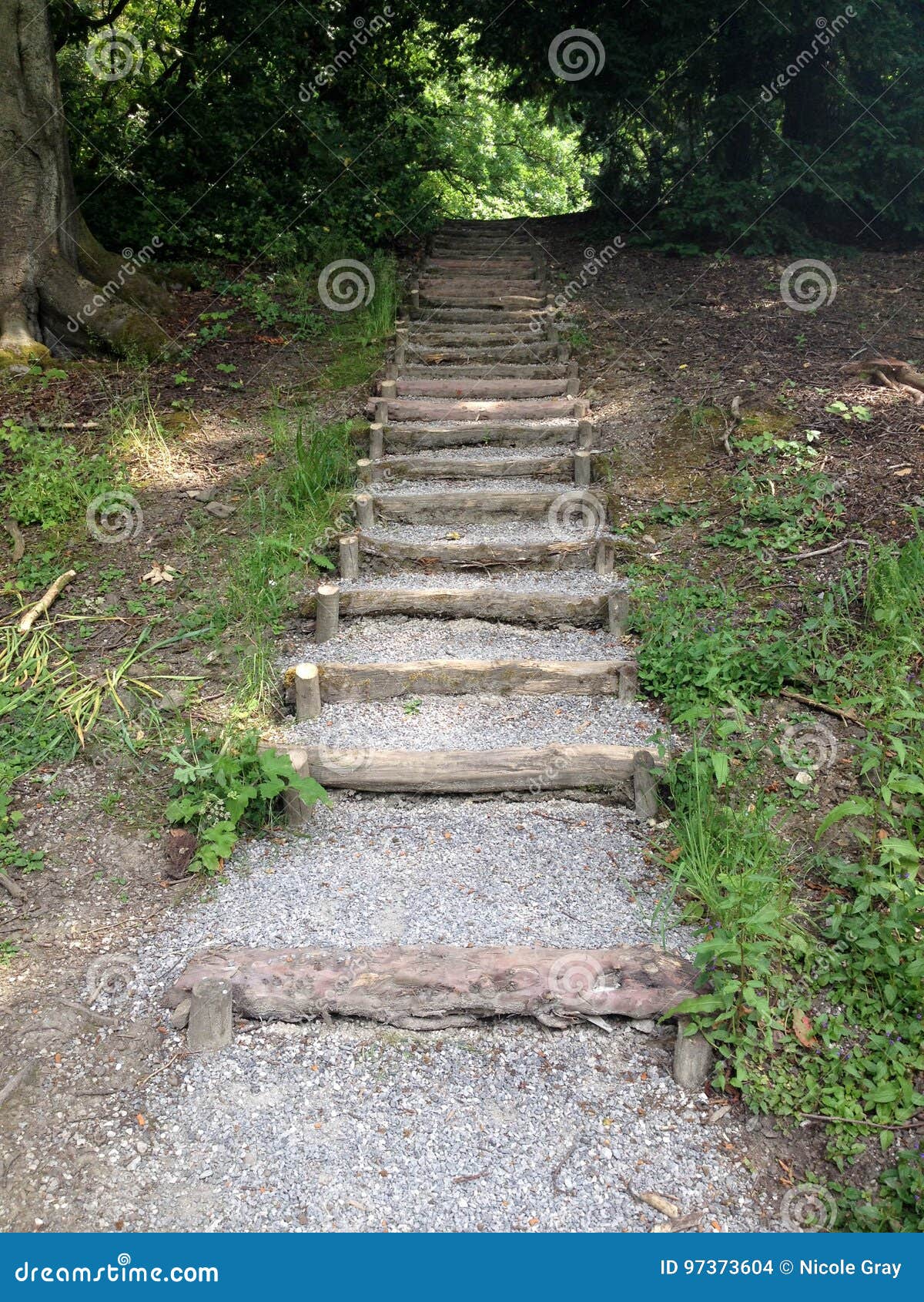 Path of Steps Stairway Leading Upwards Stock Photo - Image of stairway ...