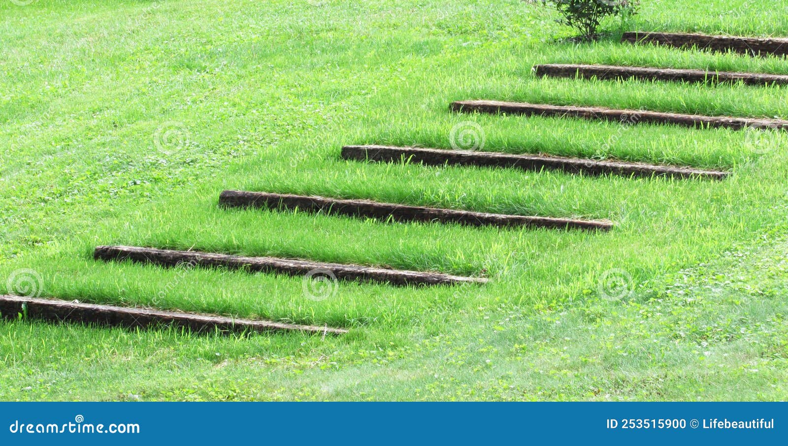 Steps Built Into A Slope Or Dig Up On A Hill. Stairs In Sloping Ground ...