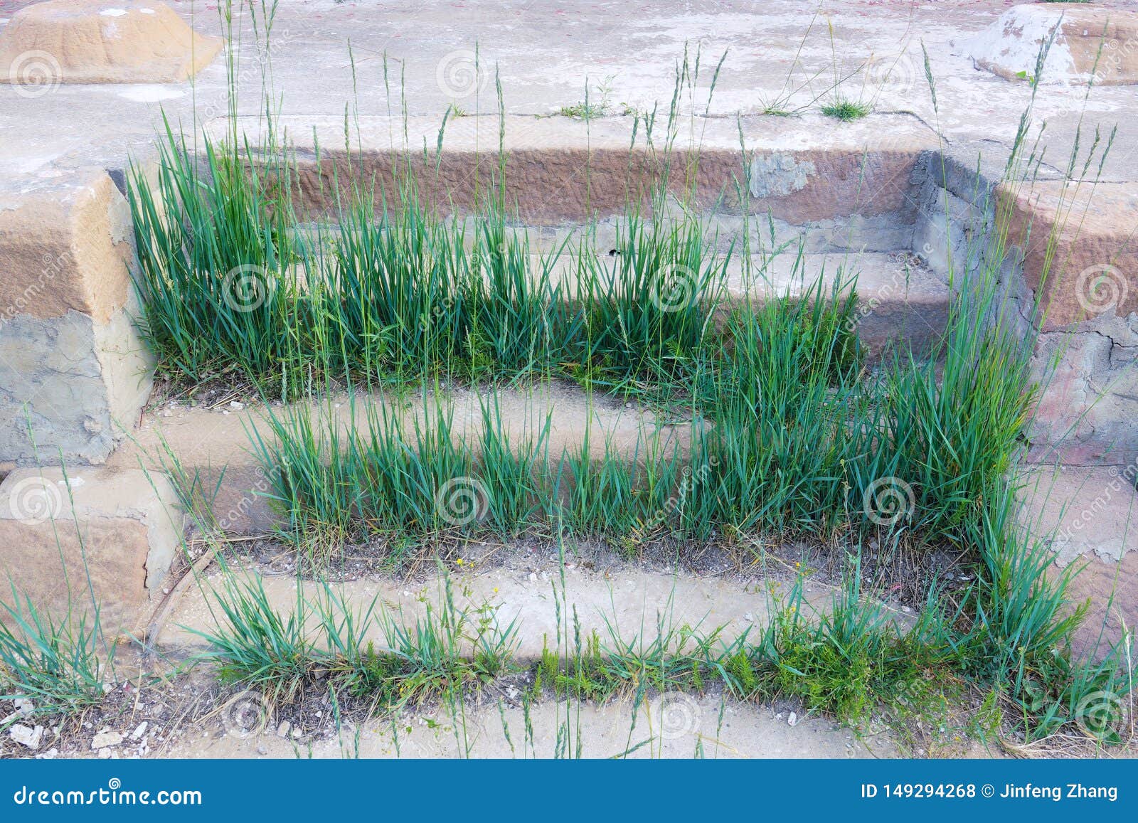 Steps and grass stock photo. Image of grass, footsteps - 149294268