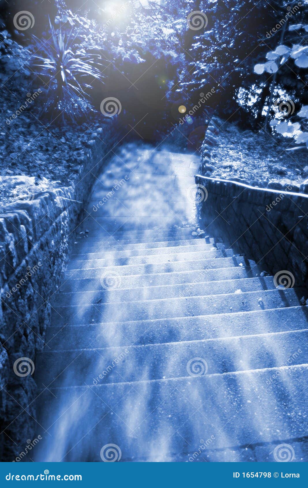 Steps haze stock photo. Image of nature, night, sunshine - 1654798