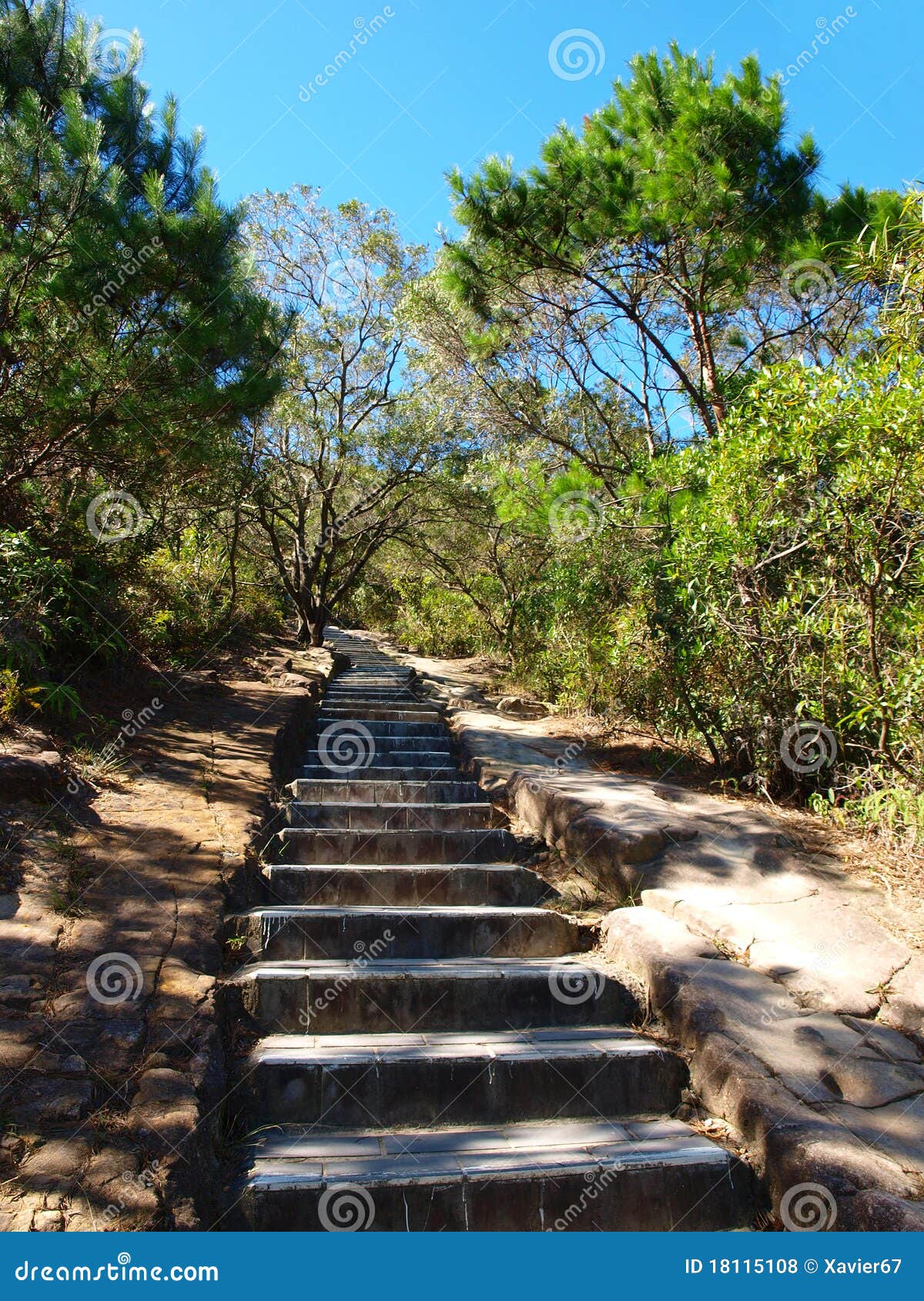Steps on hiking trail stock photo. Image of hiking, holidays - 18115108