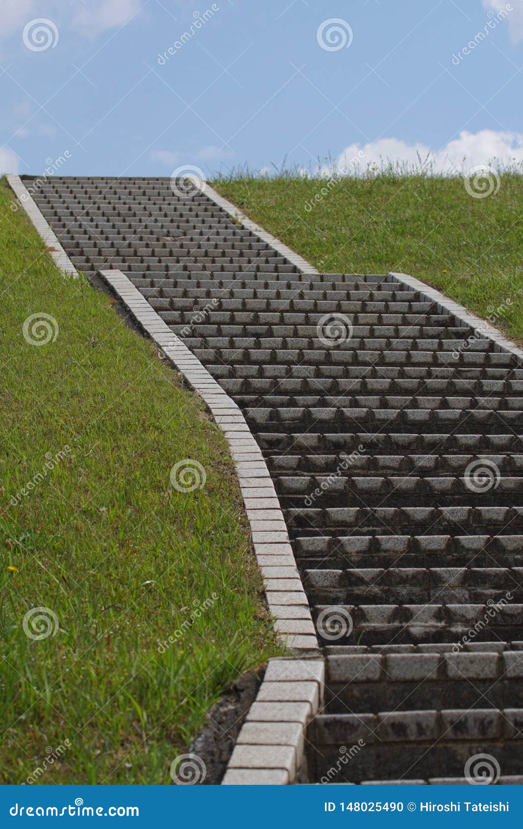 Steps on a Hill in the Summer Stock Photo - Image of steps, flower ...