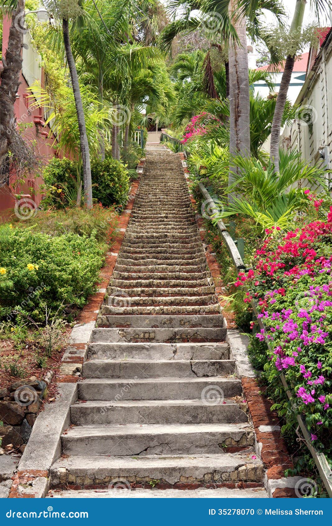 99 Steps stock photo. Image of amalie, charlotte, tropical - 35278070