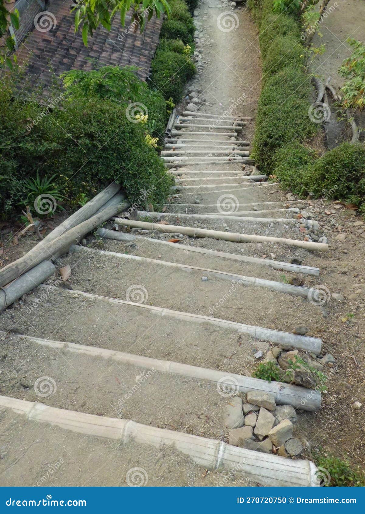 Steps lader made of bamboo stock photo. Image of lader - 270720750