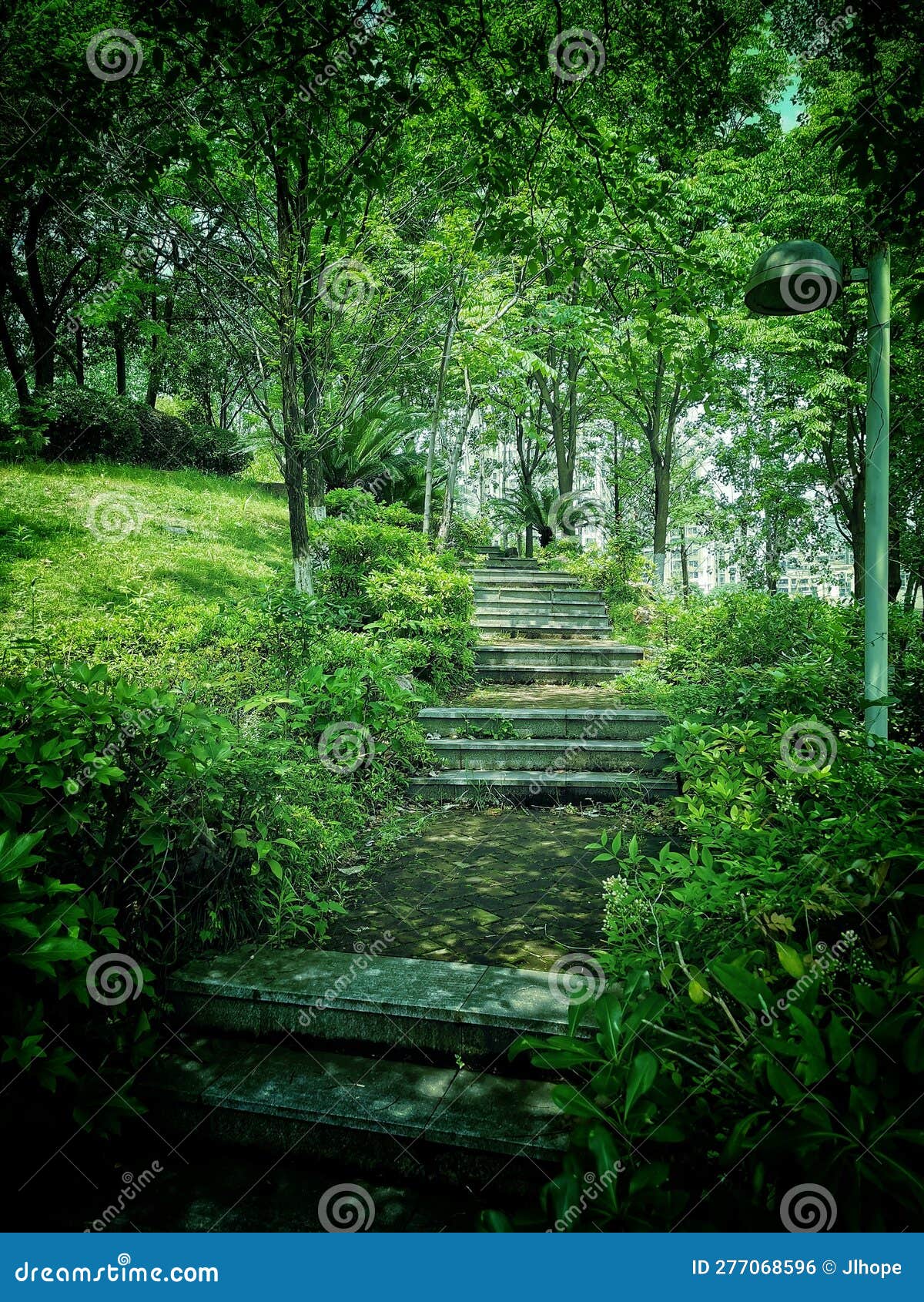Steps stock photo. Image of green, landscape, trees - 277068596