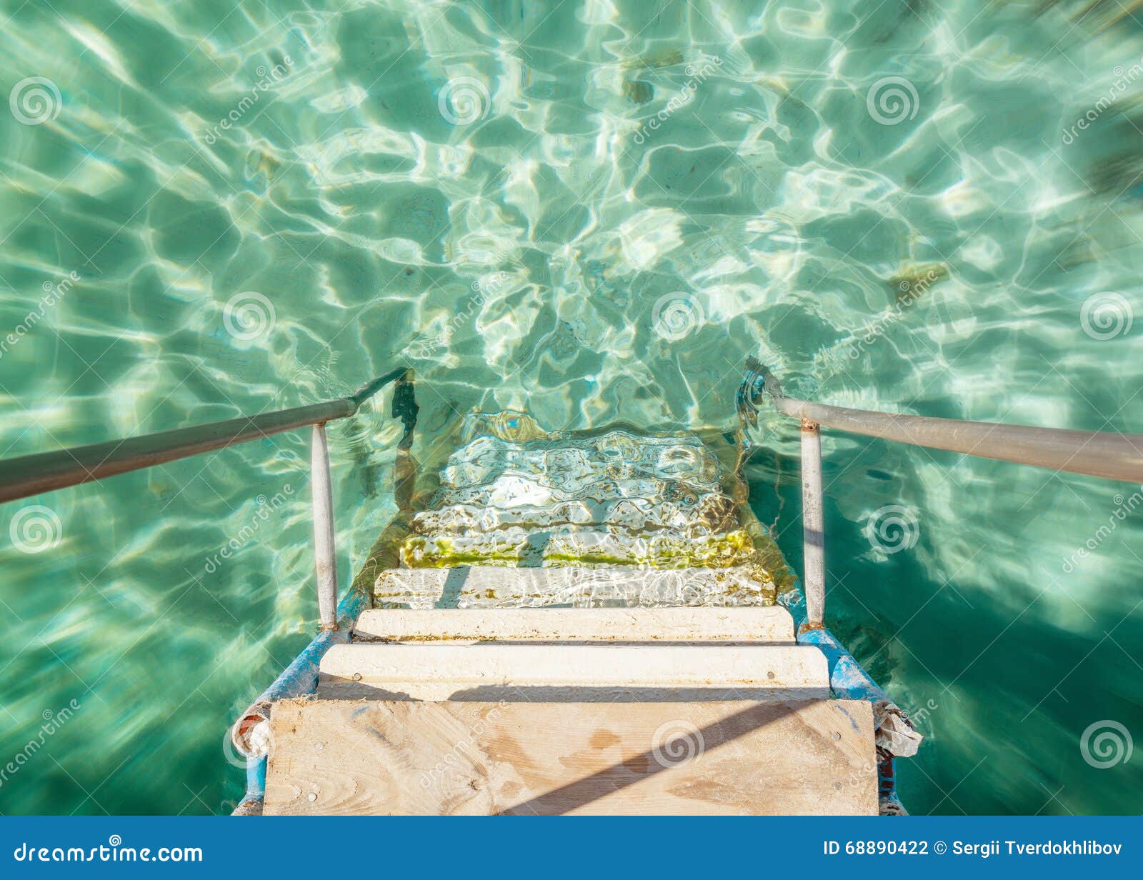 The Steps Leading To the Water Stock Photo - Image of nature, outside ...