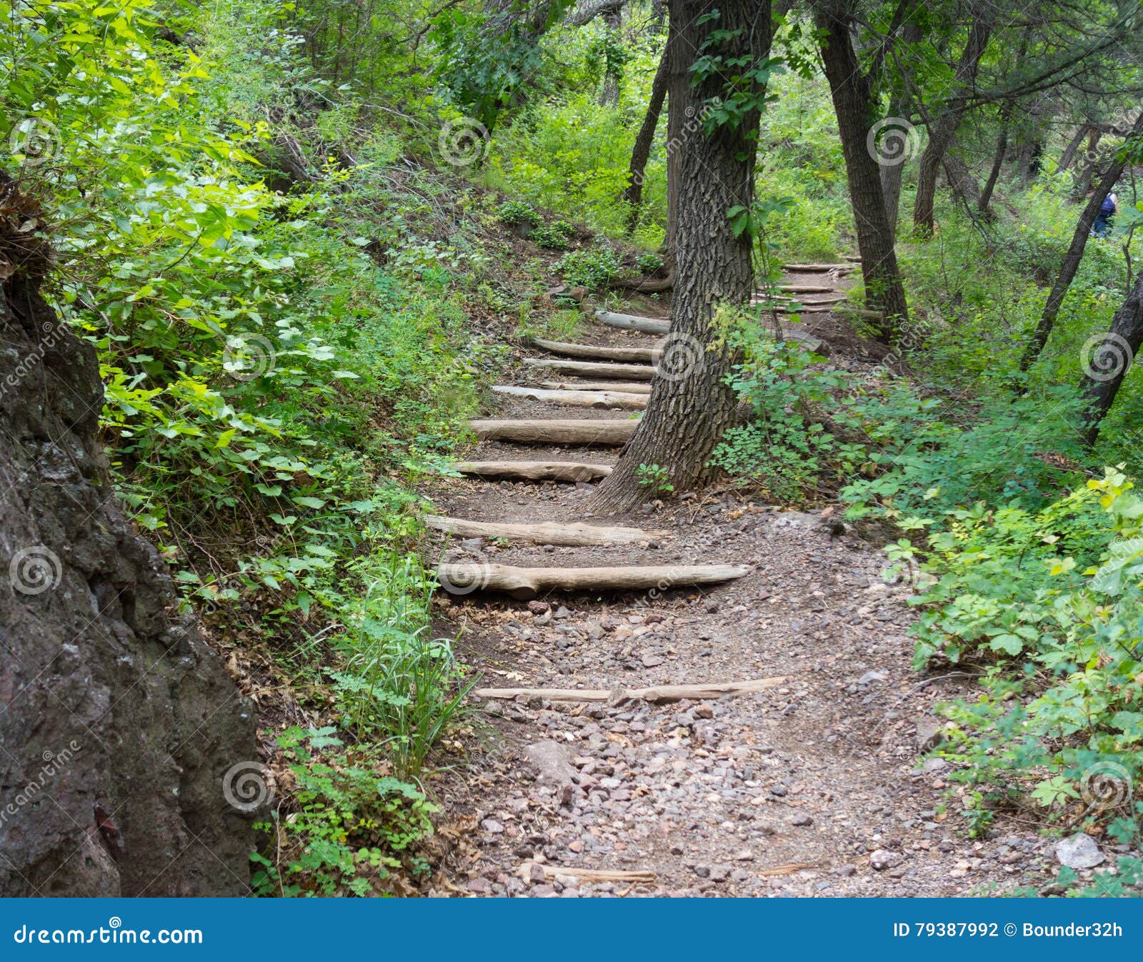 Steps Made with Logs in a Forest Stock Photo - Image of natural, summer ...