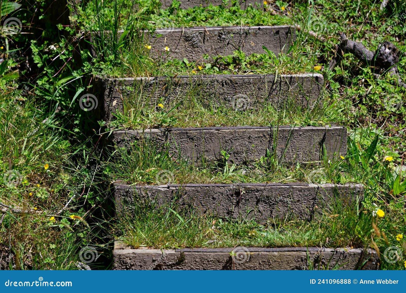 Old Steps Climb Their Way Up a Hillside Stock Photo - Image of access ...