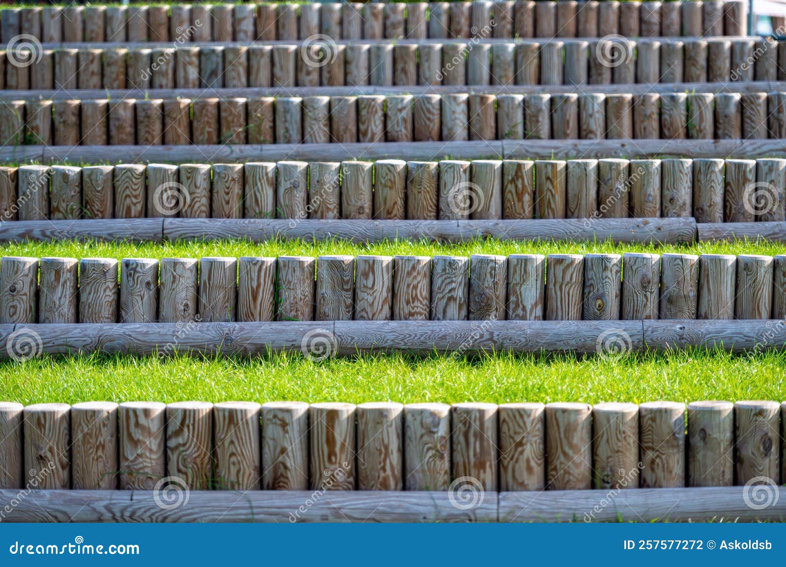 Steps Made of Rows of Wooden Piles on the Slope of the Park Stock Photo ...