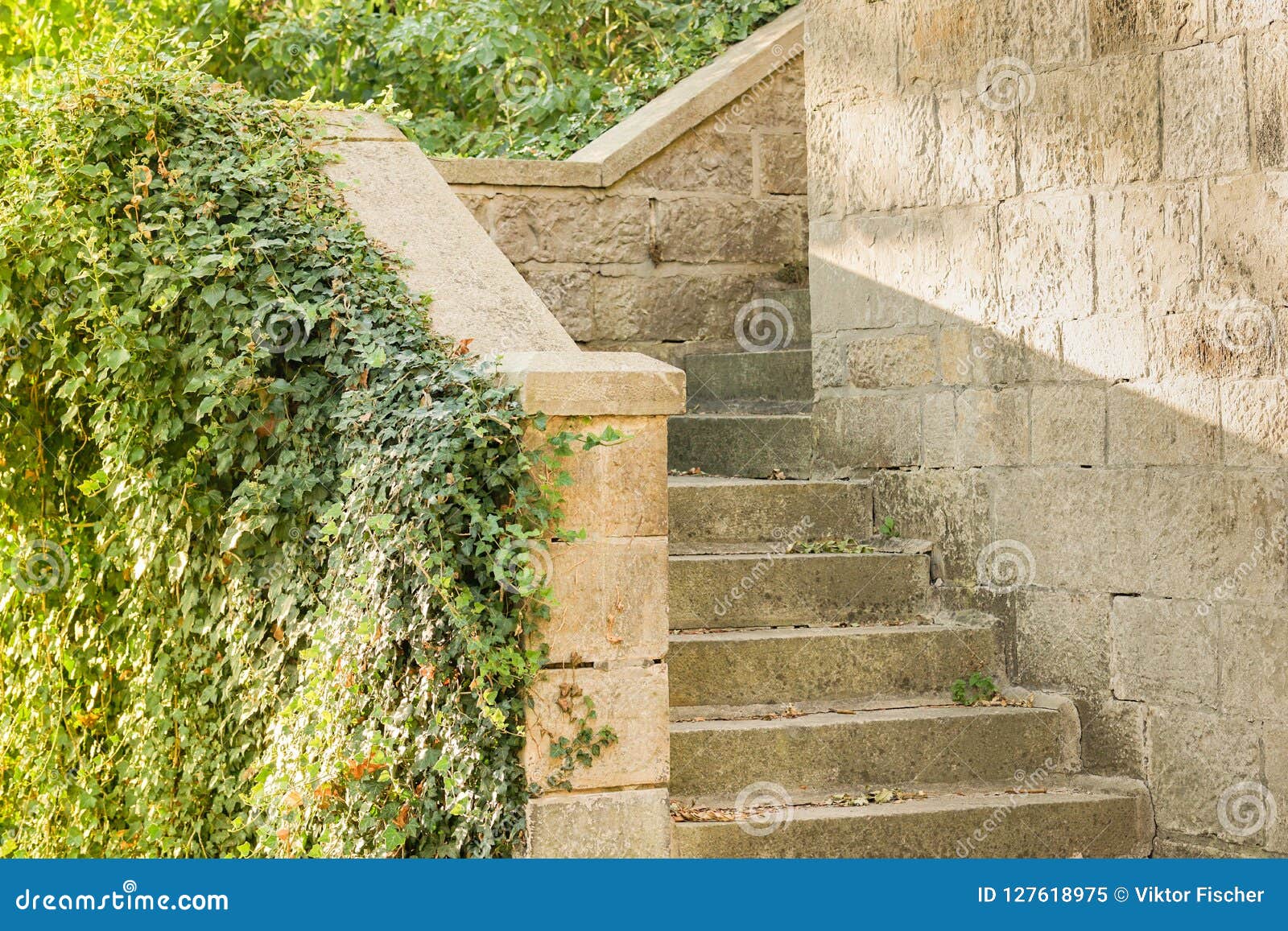 Steps of the Old Castle with Green Vegetation. Stock Image - Image of ...