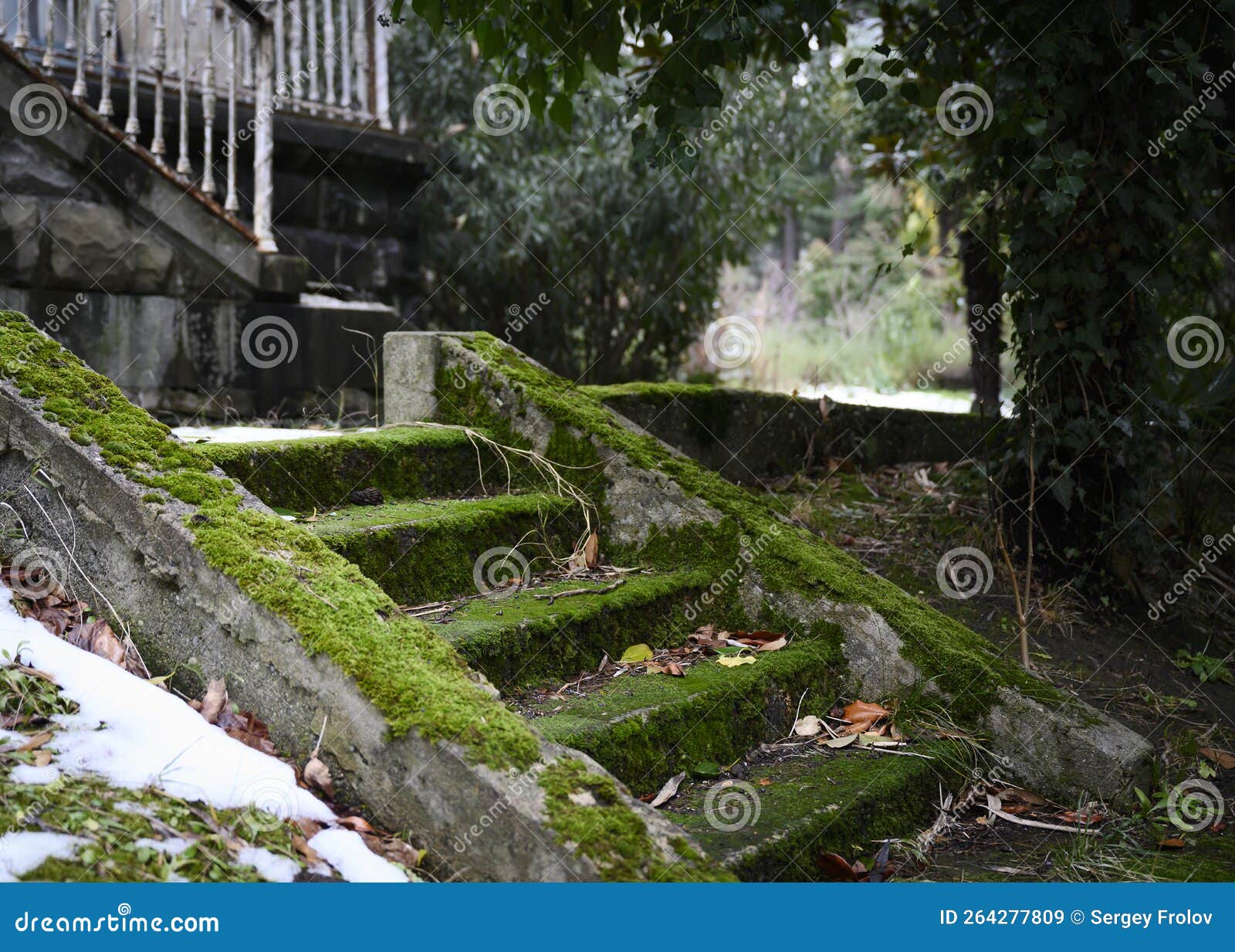 The Steps of an Old Stone Staircase Covered with Moss Stock Image ...