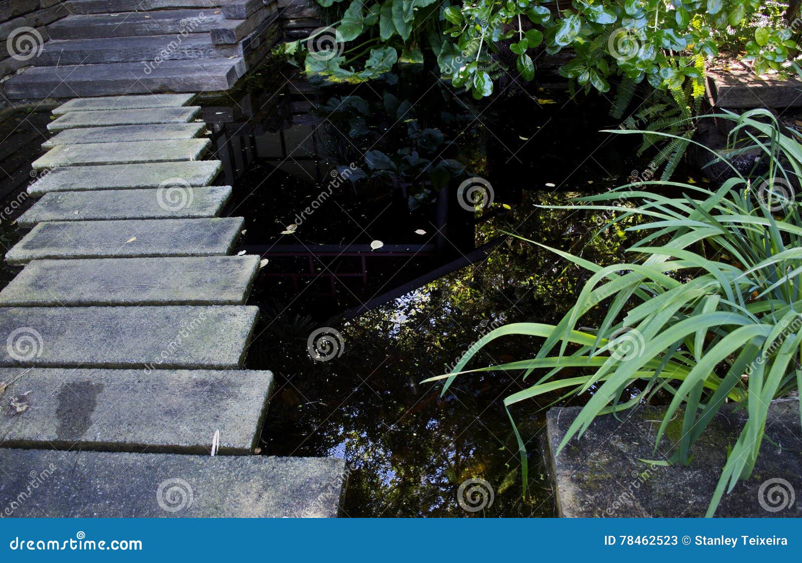 Steps over a pond stock image. Image of pond, river, setting - 78462523