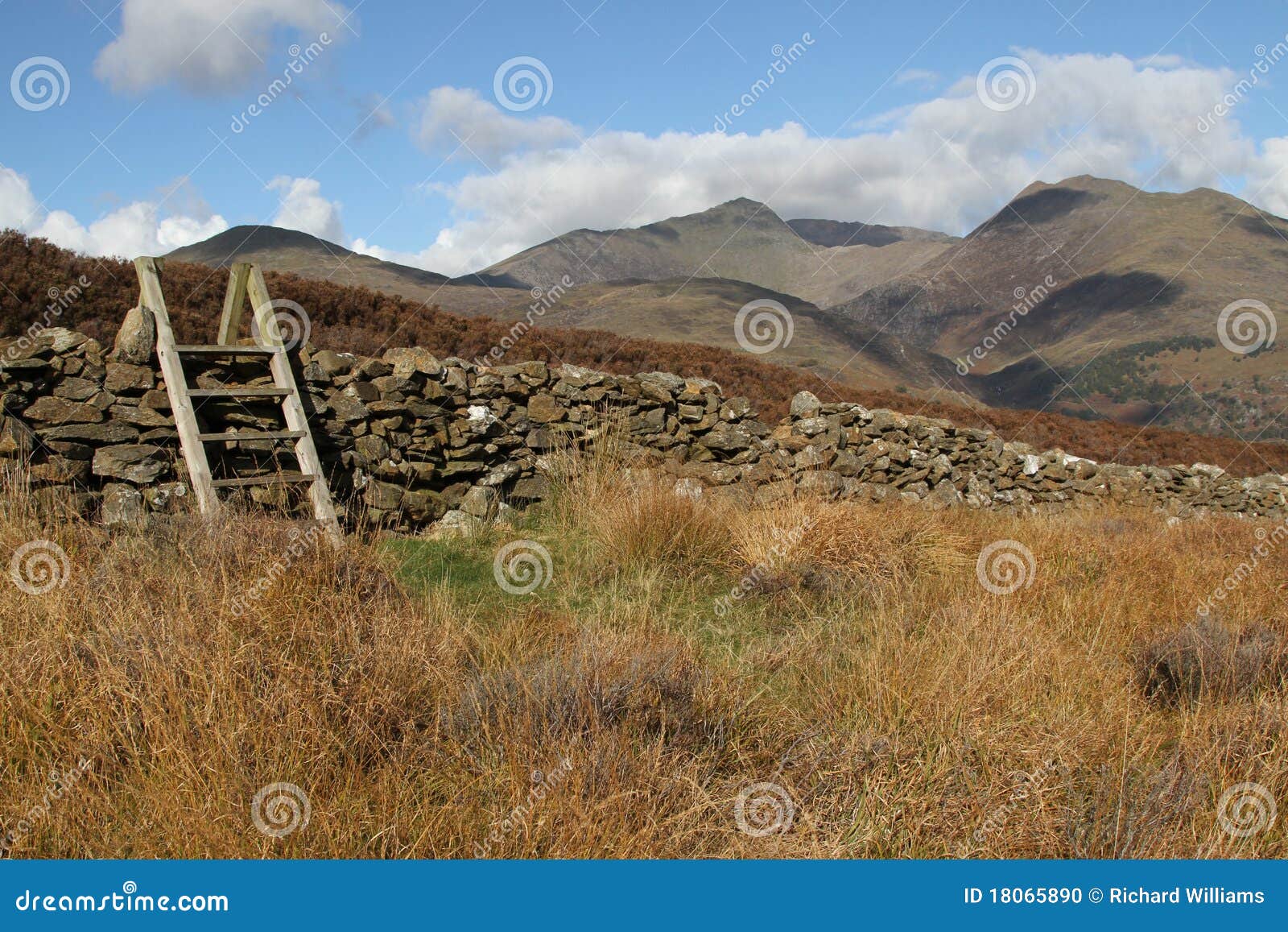 Steps over stone wall. stock photo. Image of stone, grasses - 18065890
