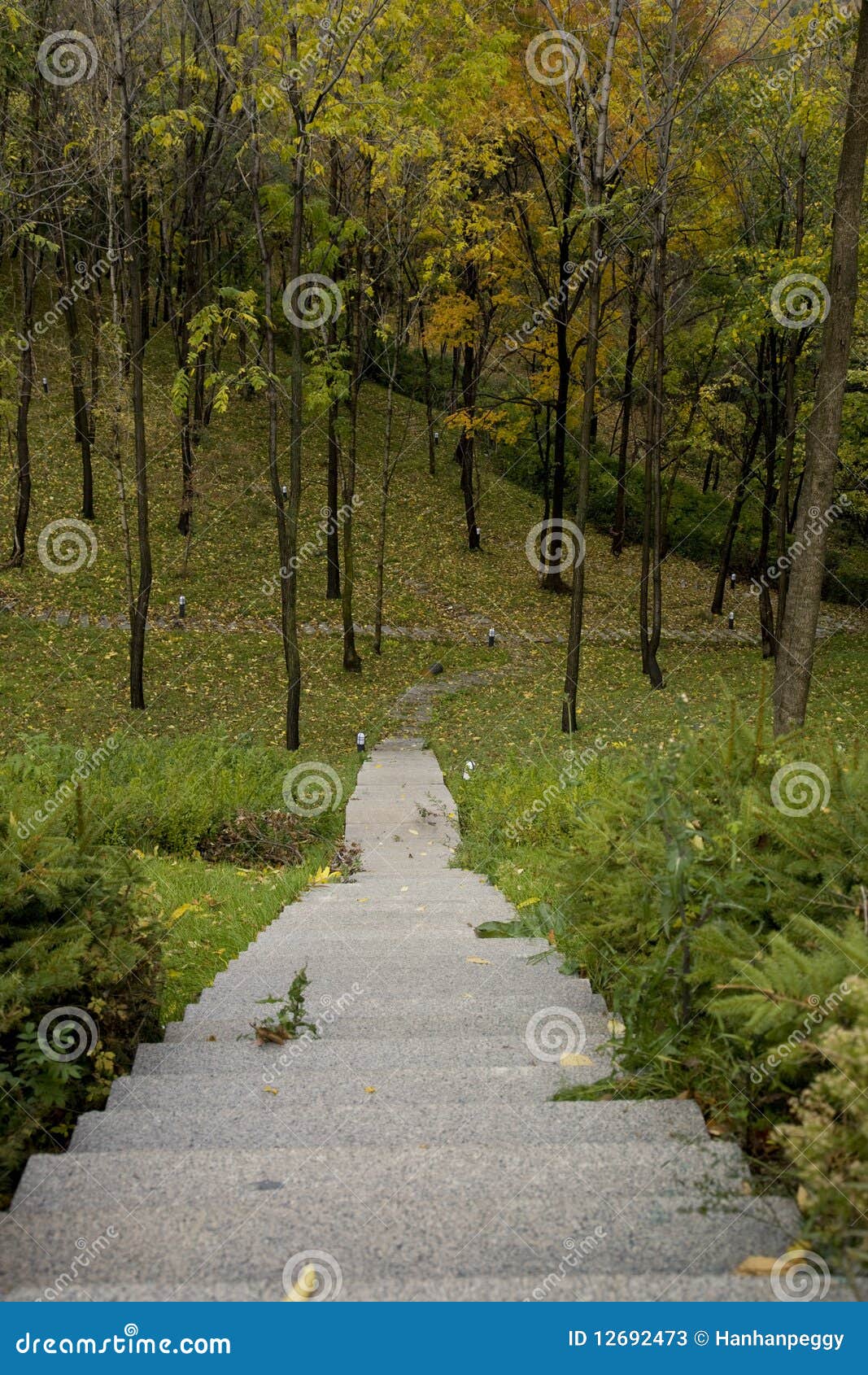 Steps in park stock image. Image of vertical, walk, outdoor - 12692473