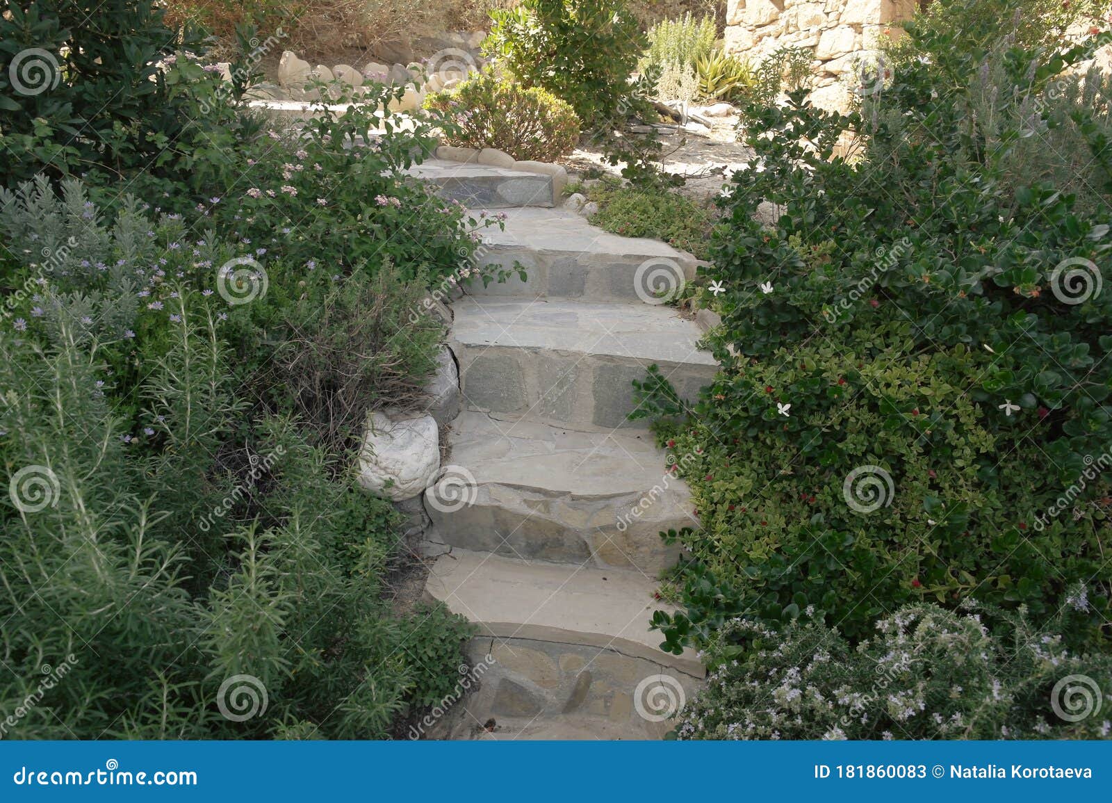 Steps in the Park on a Sunny Summer Day Stock Image - Image of natural ...