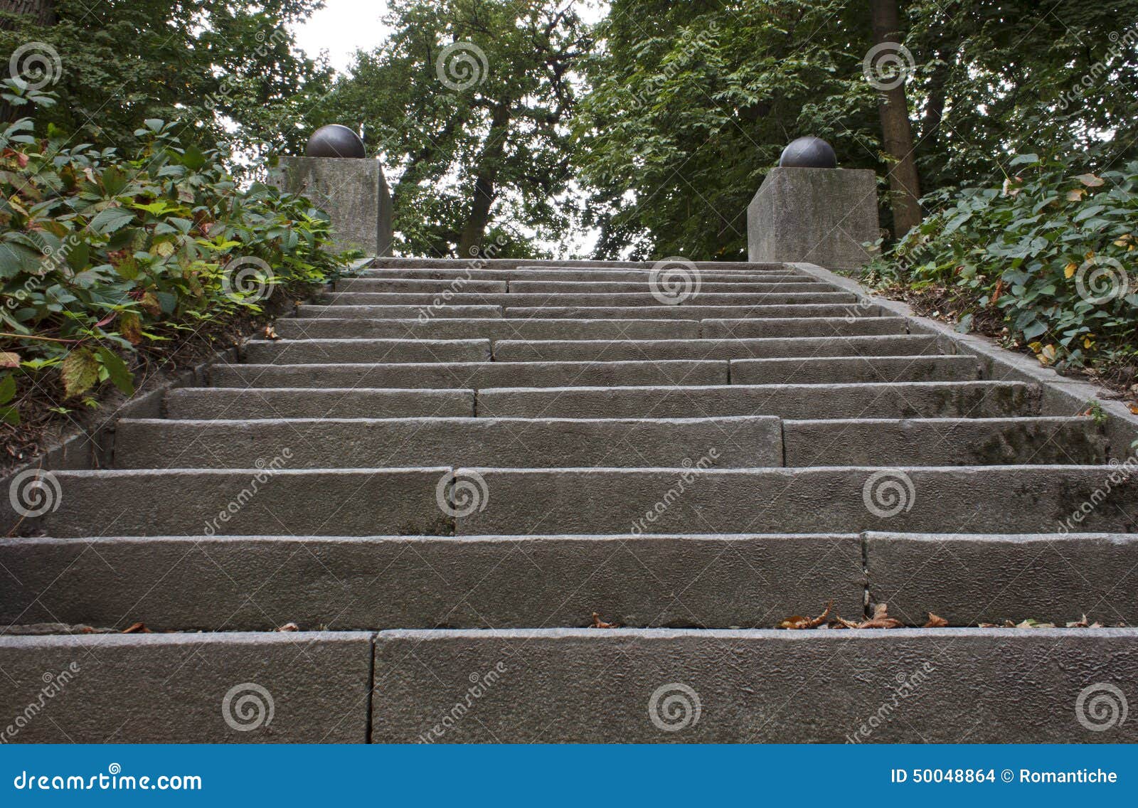 Steps in park stock photo. Image of fall, path, trees - 50048864