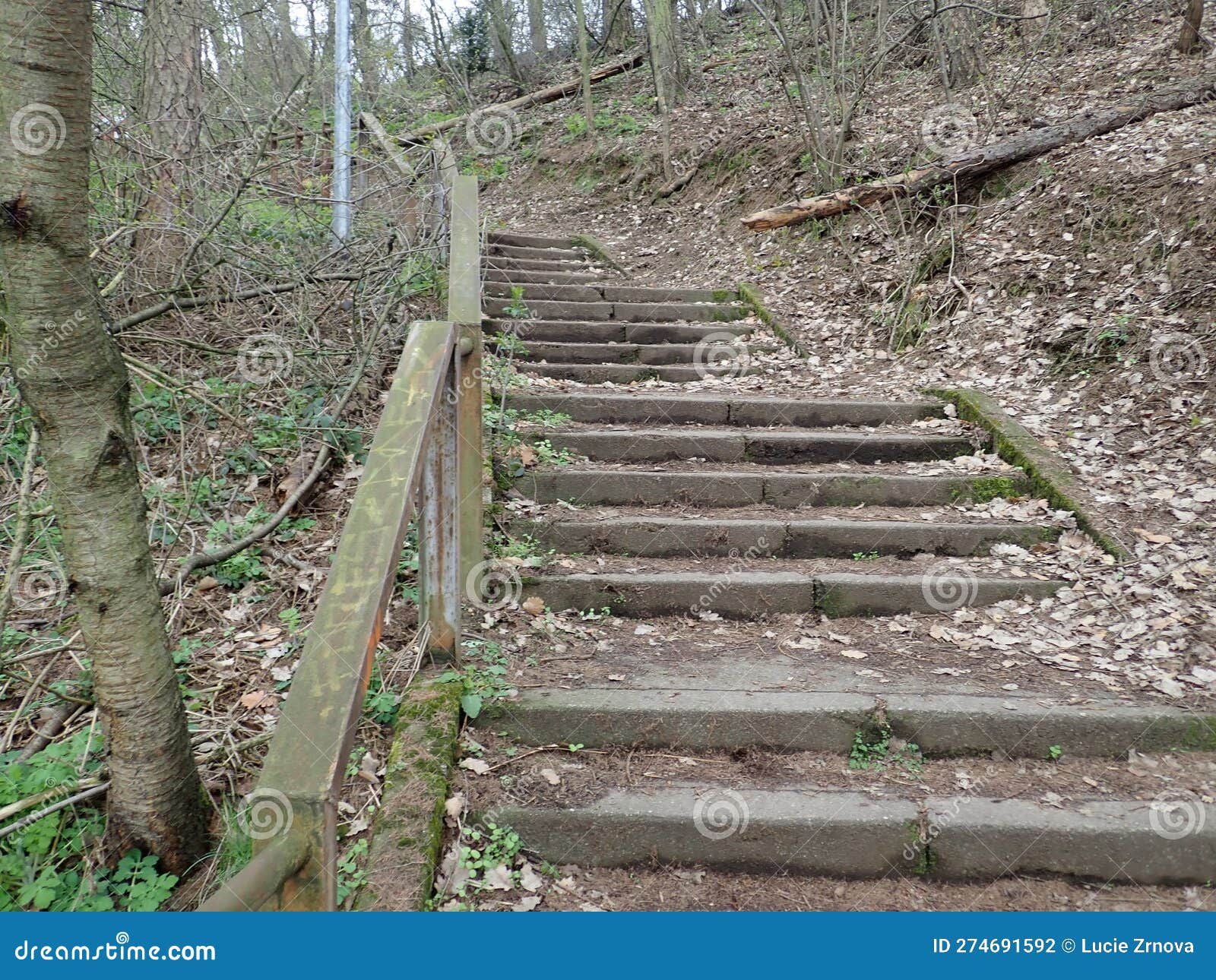 Steps in a park walk route stock photo. Image of streetlight - 274691592