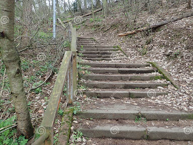 Steps in a park walk route stock photo. Image of streetlight - 274691592