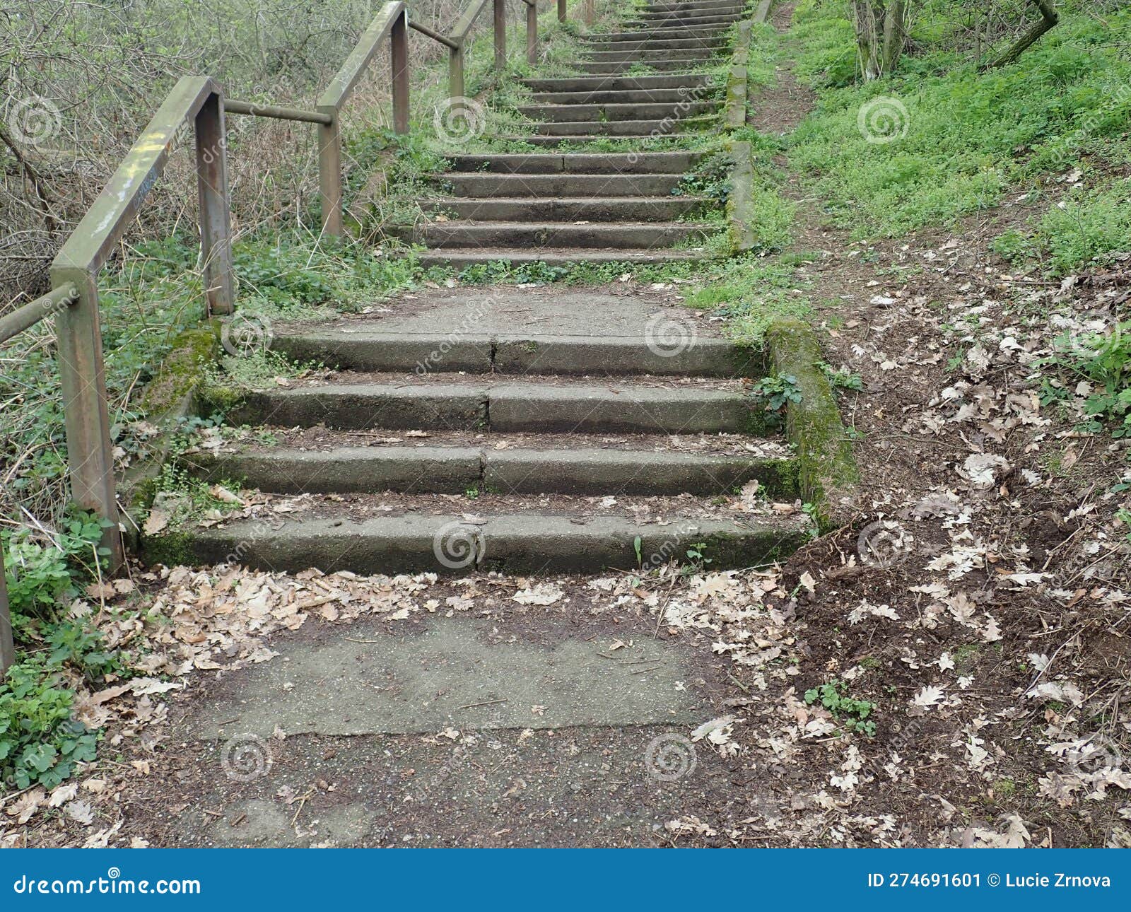 Steps in a park walk route stock image. Image of step - 274691601