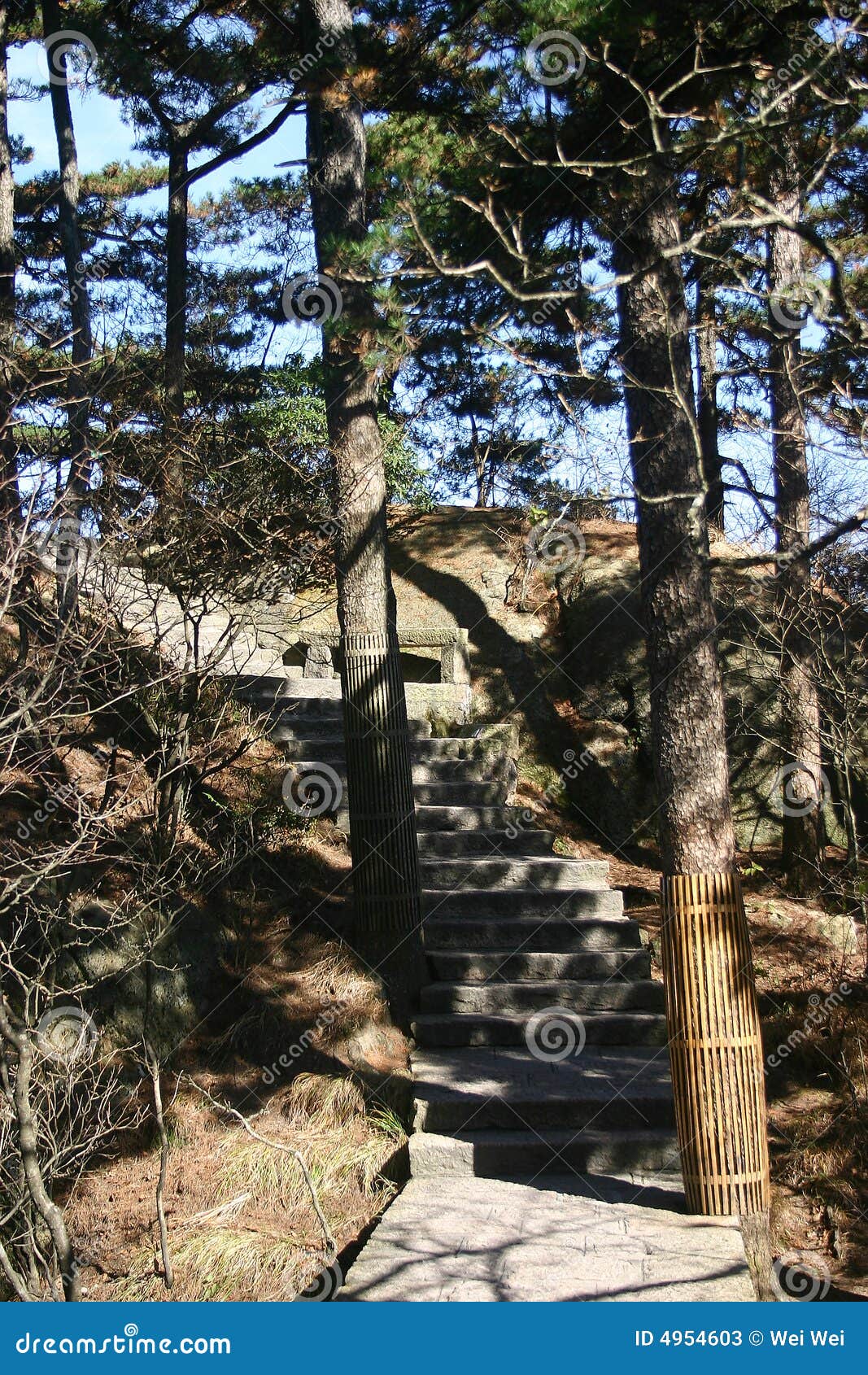 Steps on path in forest stock image. Image of mountainside - 4954603