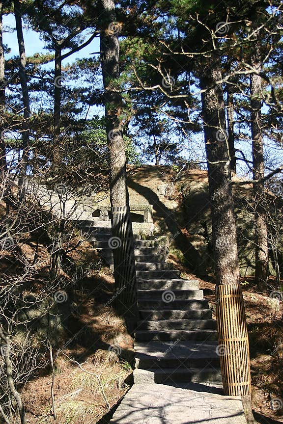 Steps on path in forest stock image. Image of mountainside - 4954603