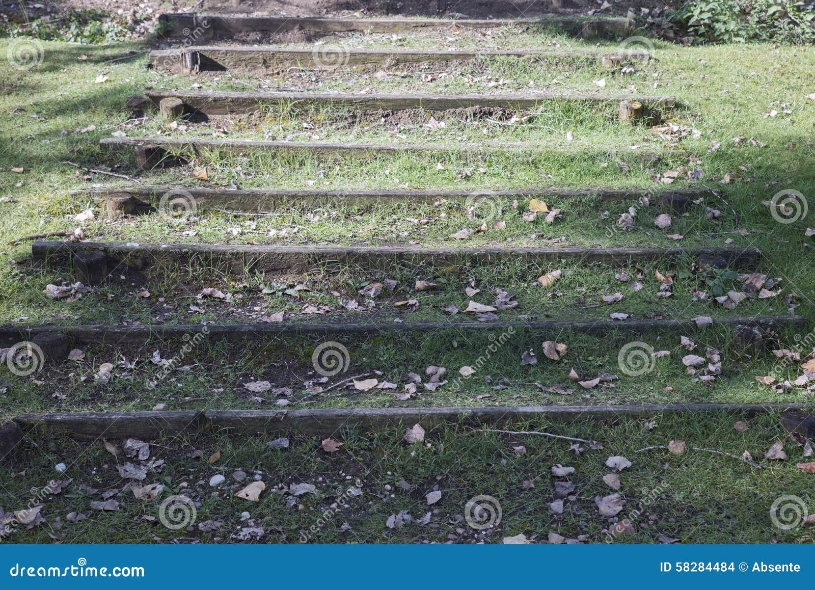 Steps stock photo. Image of autumn, path, outside, forest - 58284484