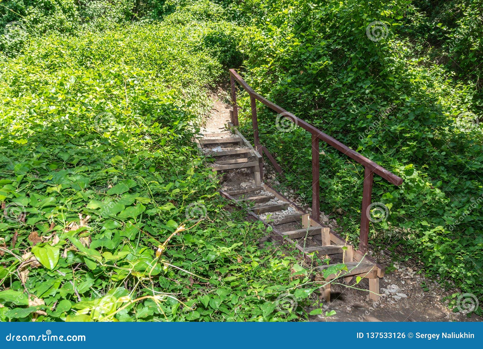Steps on the Path To the Mountain Stock Photo - Image of step ...