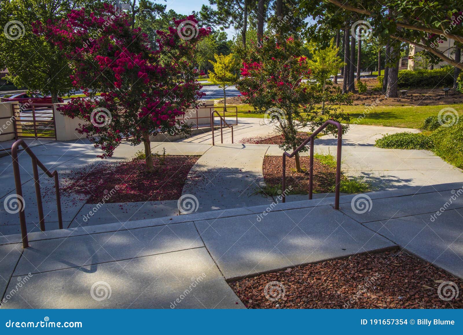Steps on a Pathway with Beautiful Nature Landscape Editorial Stock ...