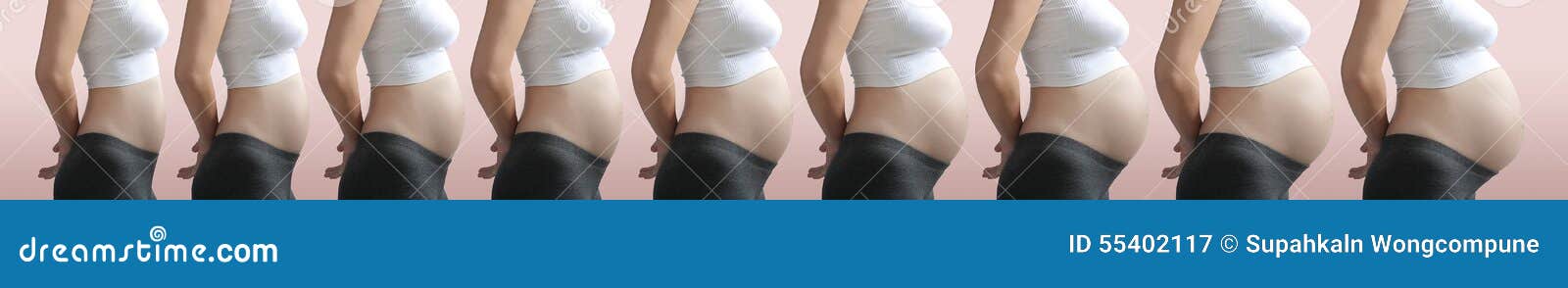 Steps of Pregnancy stock image. Image of motherhood, isolated - 55402117