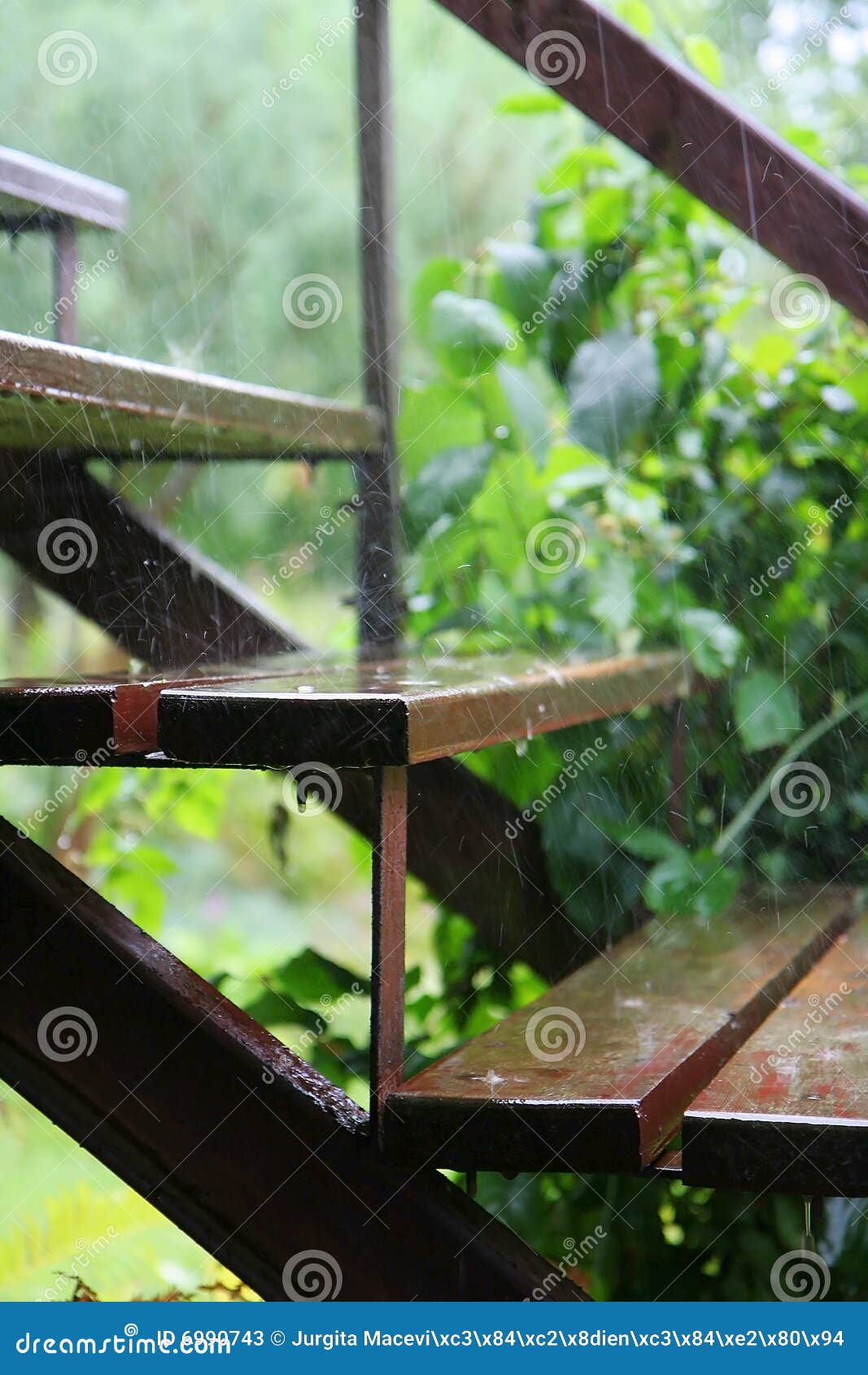 Steps in the rain stock image. Image of green, garden - 6990743