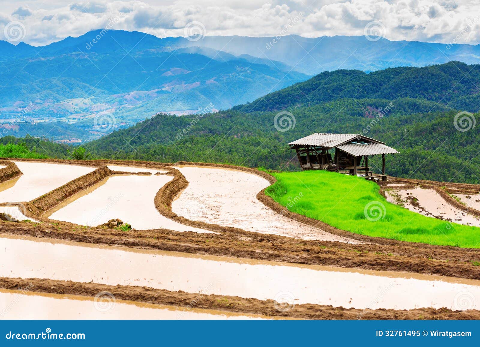 Steps rice field stock image. Image of lush, people, agriculture - 32761495