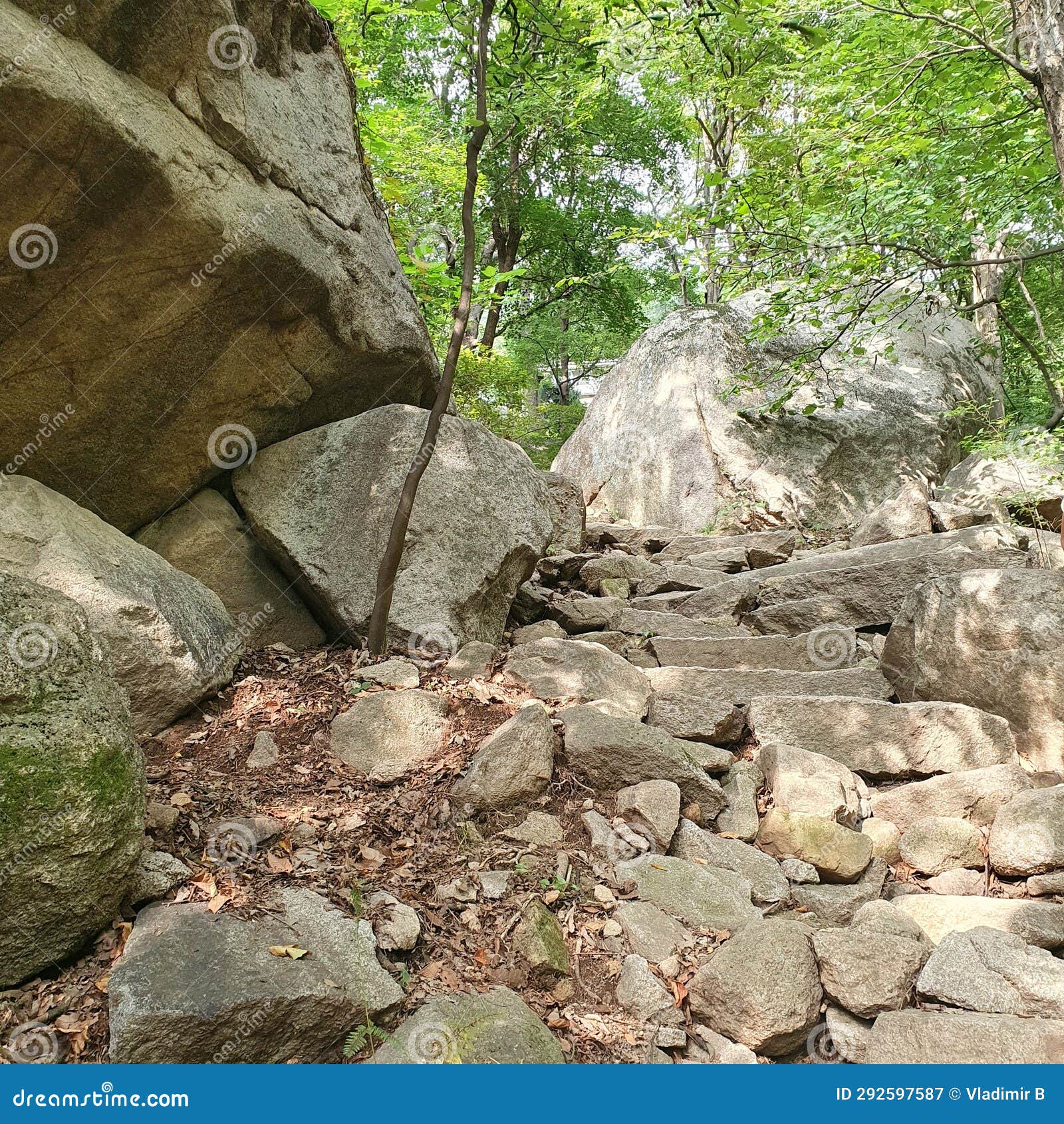 Steps in the rocks. stock image. Image of steps, nature - 292597587