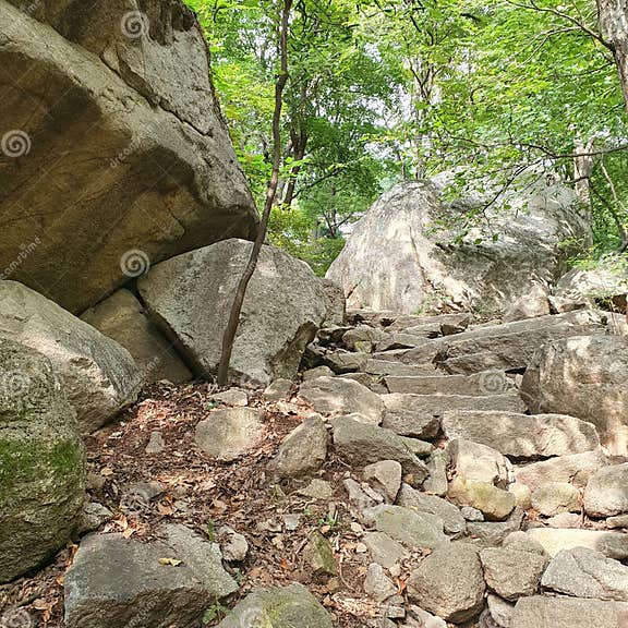 Steps in the rocks. stock image. Image of steps, nature - 292597587