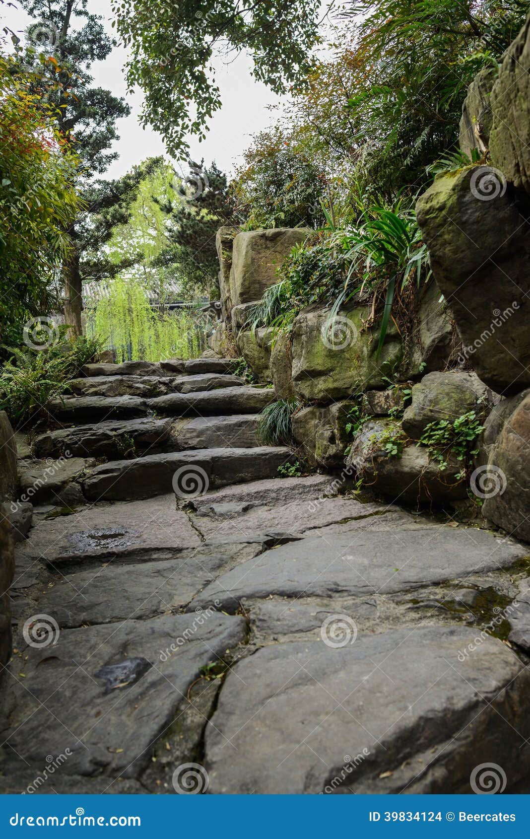 Steps and Rocks in Verdant Spring Stock Photo - Image of brush, plant ...