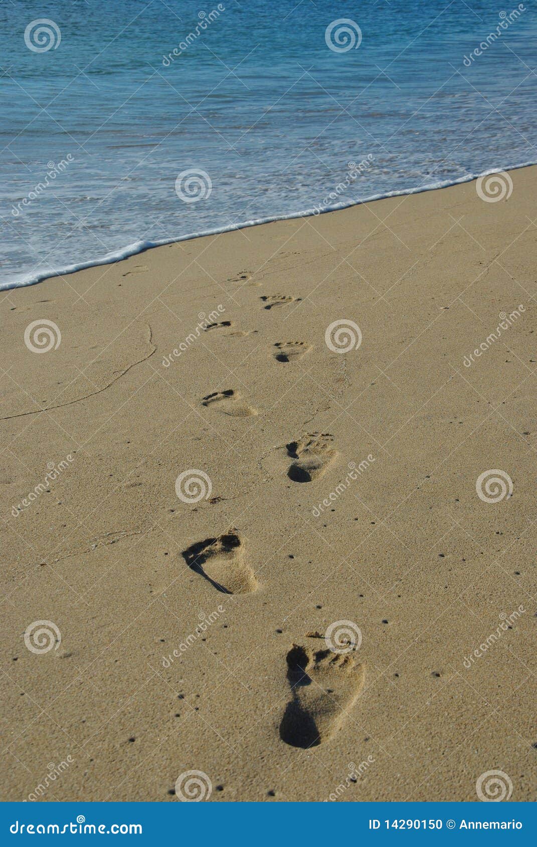 Steps in the sand stock photo. Image of coastal, harmony - 14290150