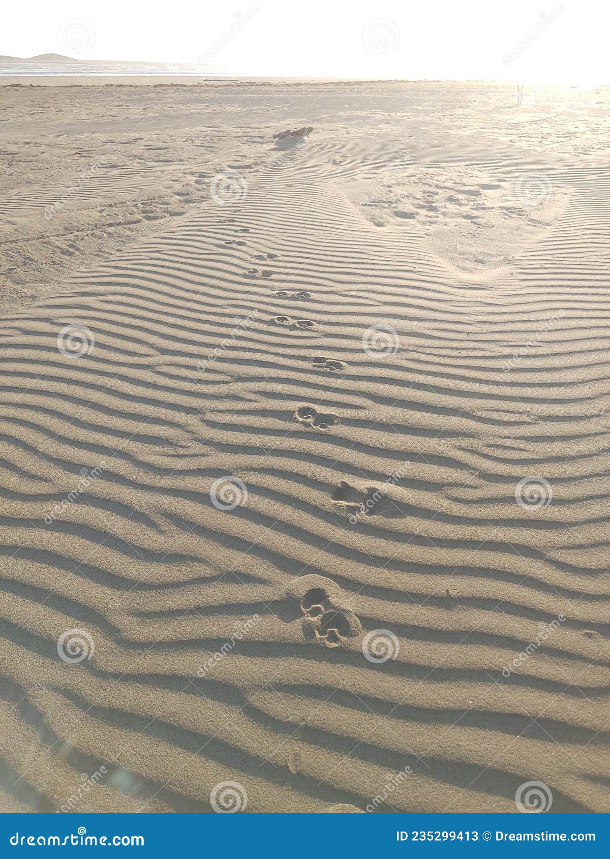 Steps in the sand stock image. Image of flooring, soil - 235299413