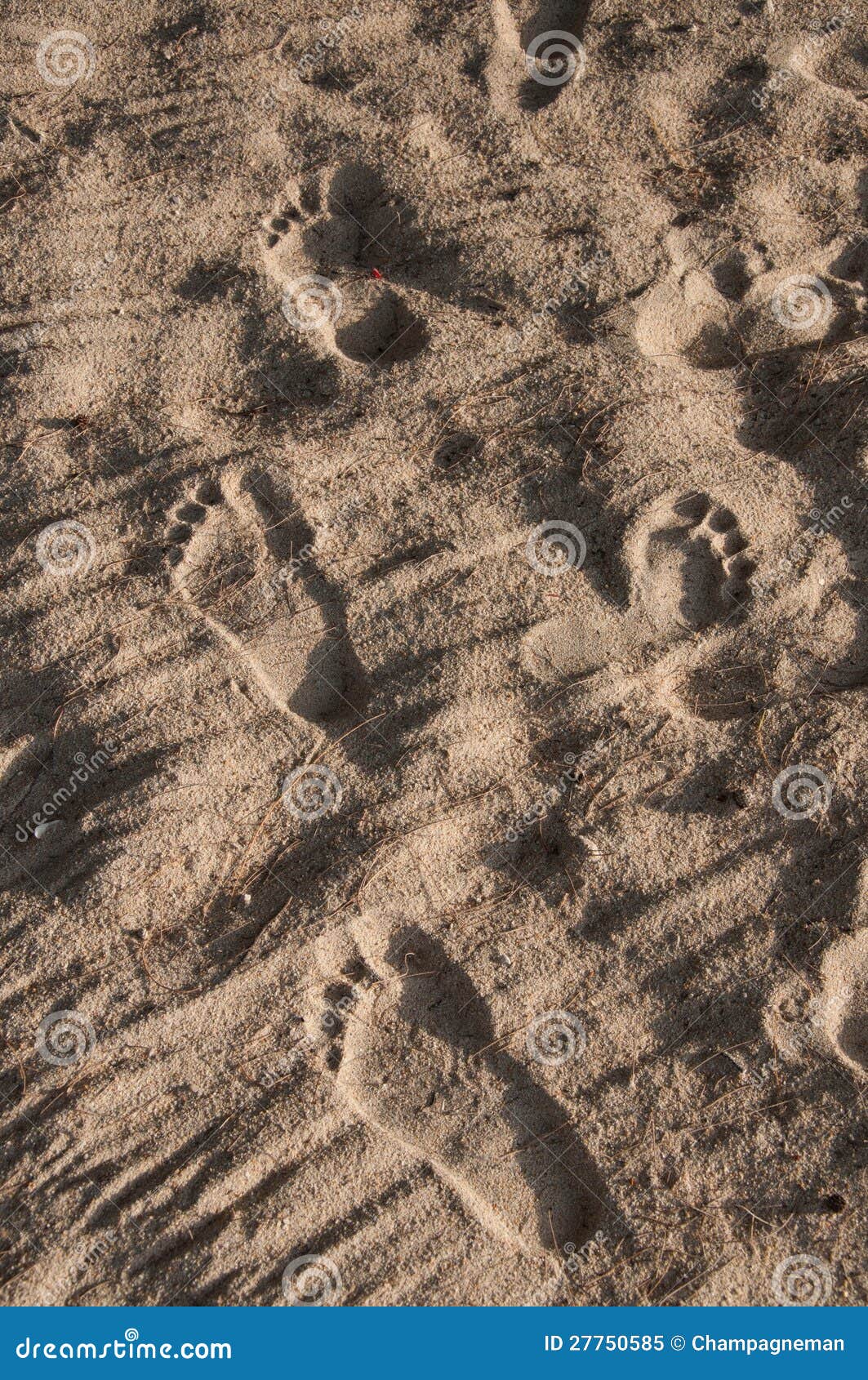 Steps on the sand stock image. Image of journey, person - 27750585
