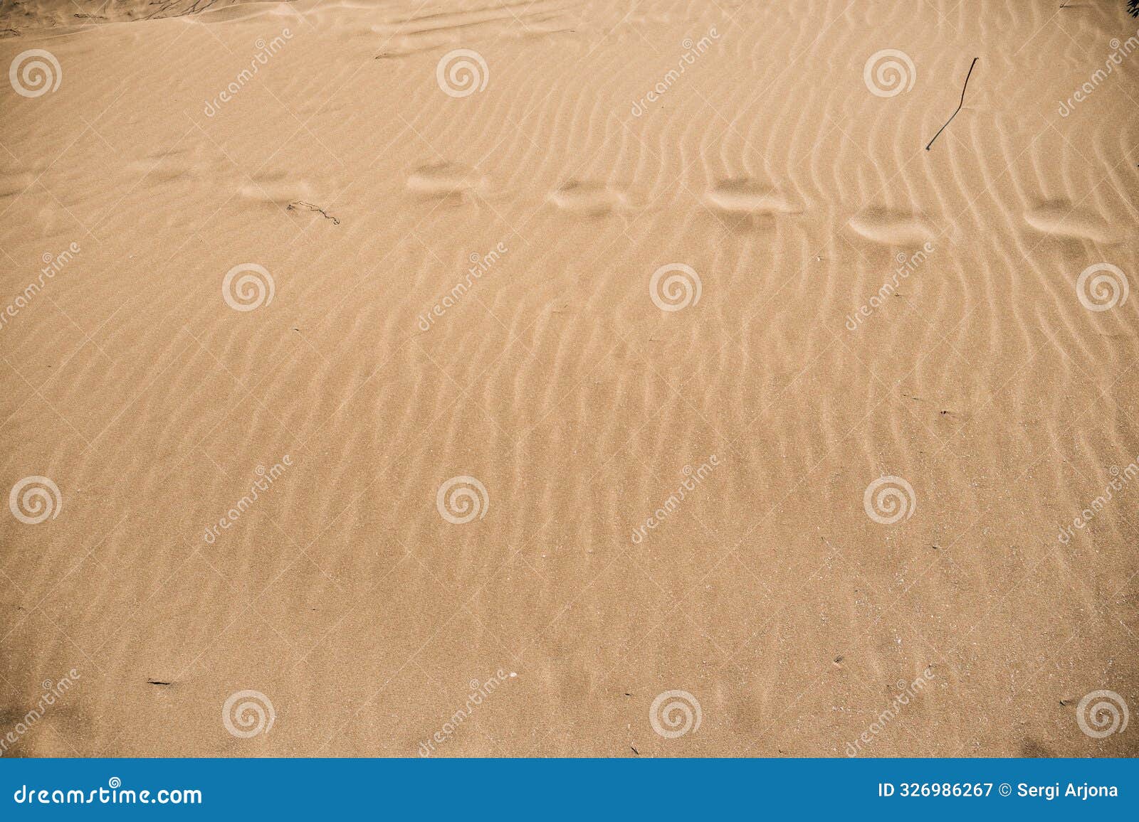 Steps in the Sand on the Beach Stock Image - Image of path, track ...