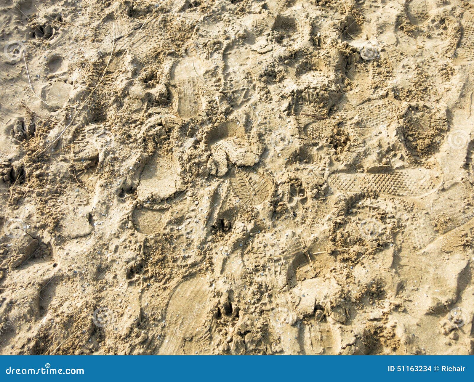 Steps in the sand stock photo. Image of foot, print, busy - 51163234