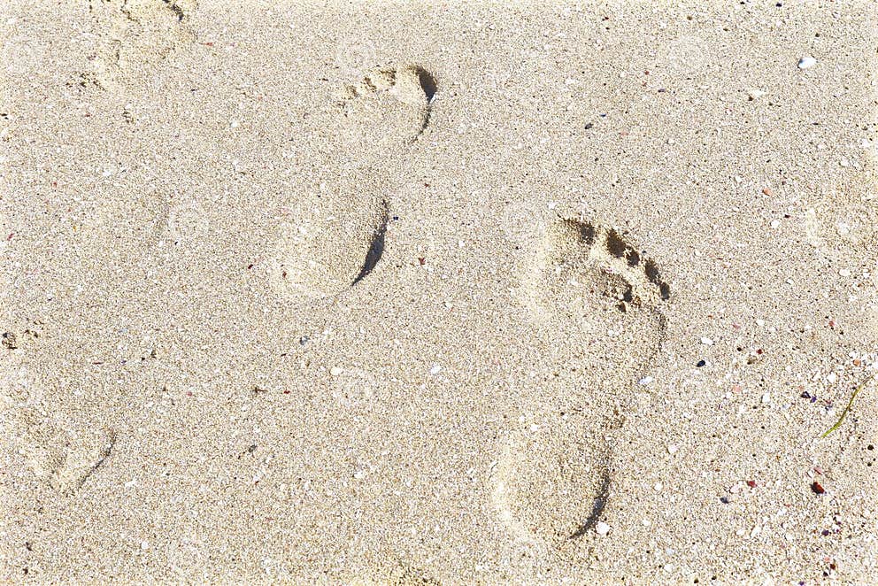 Steps in the sand stock photo. Image of gardens, outdoor - 77421568