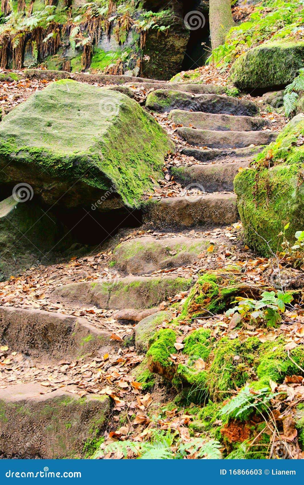 Steps from sandstone stock image. Image of track, structure - 16866603