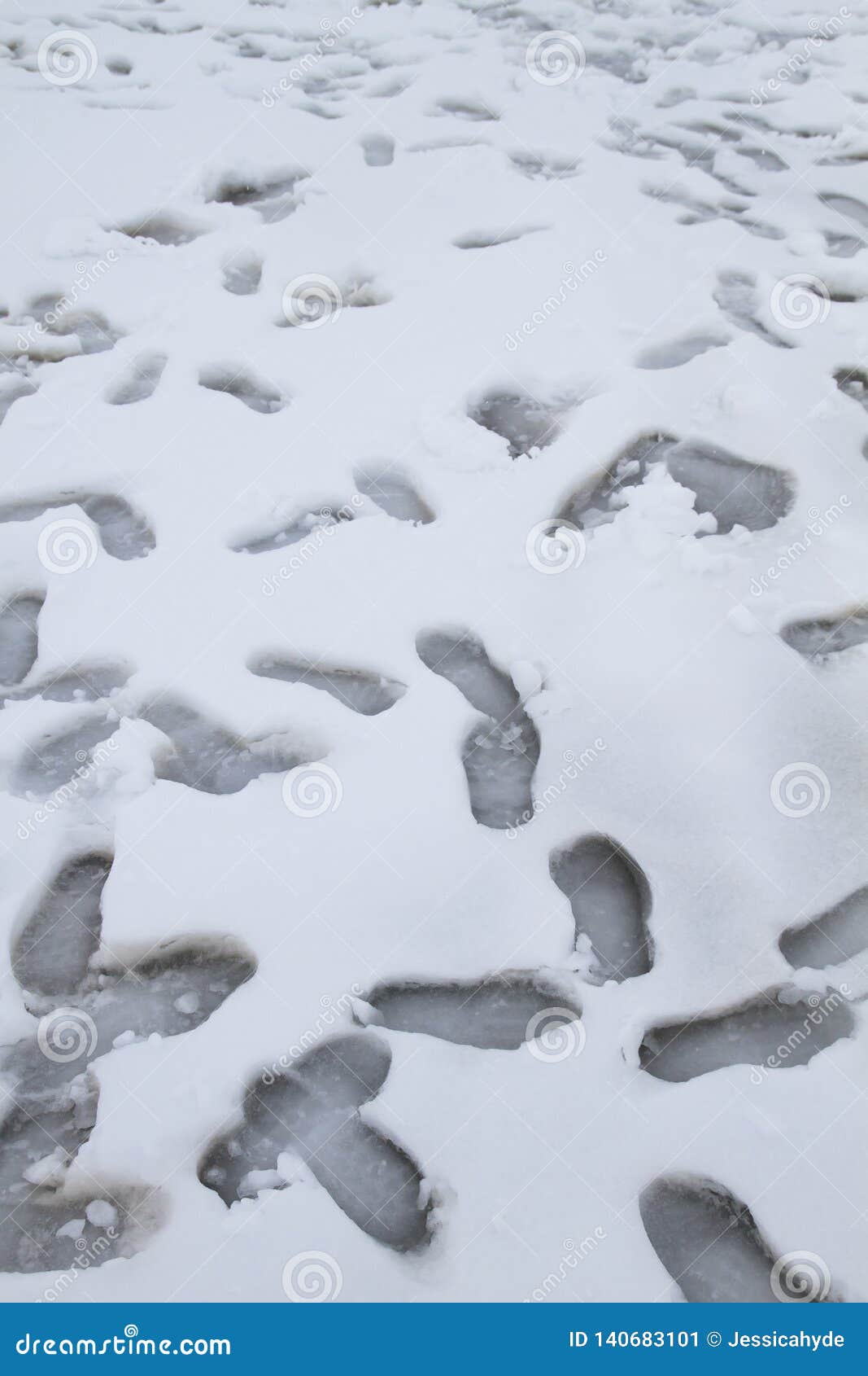 Steps in the snow stock image. Image of forecast, frost - 140683101