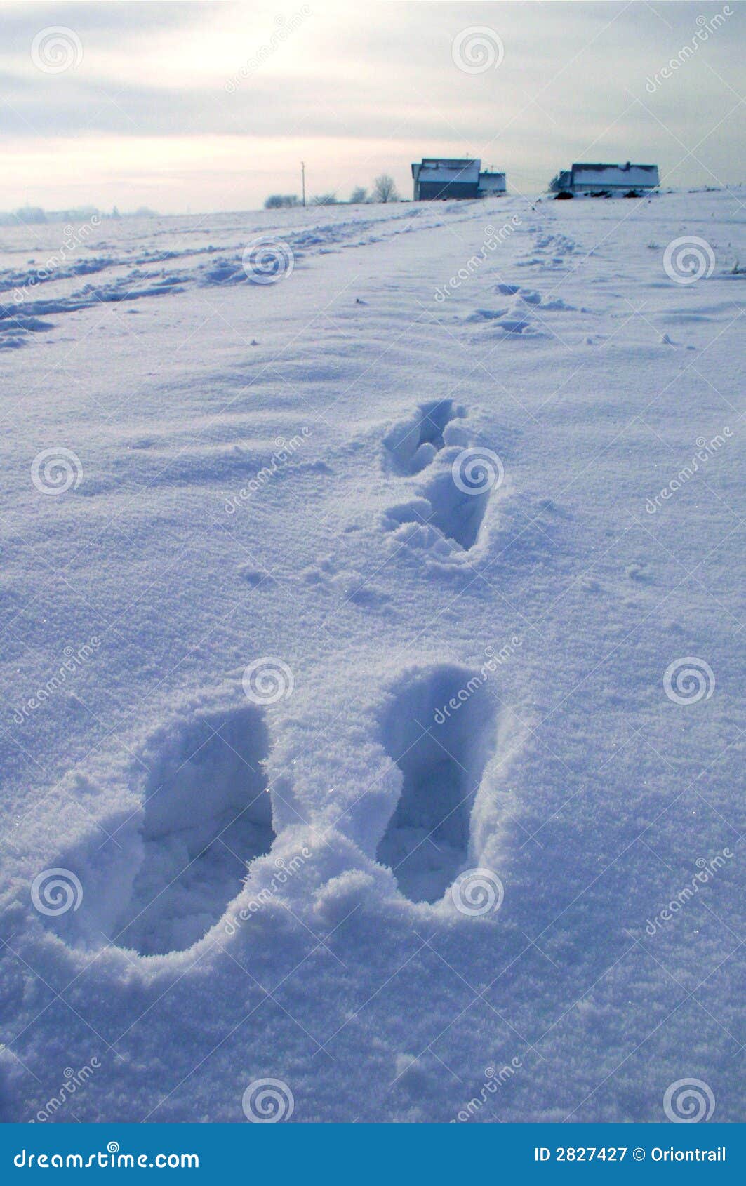 Steps in snow stock image. Image of hill, covered, frame - 2827427