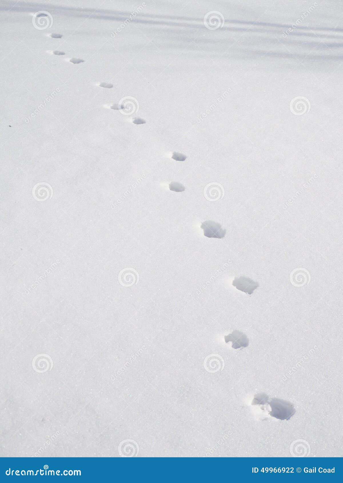 Steps in Snow stock photo. Image of nature, lonely, space - 49966922