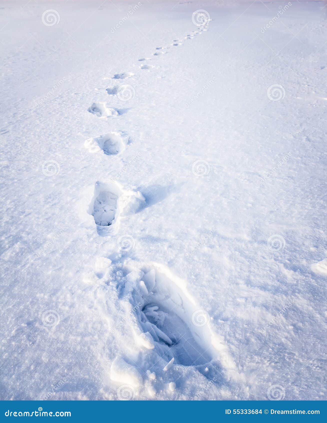 Steps on snow stock photo. Image of mark, dirt, dint - 55333684