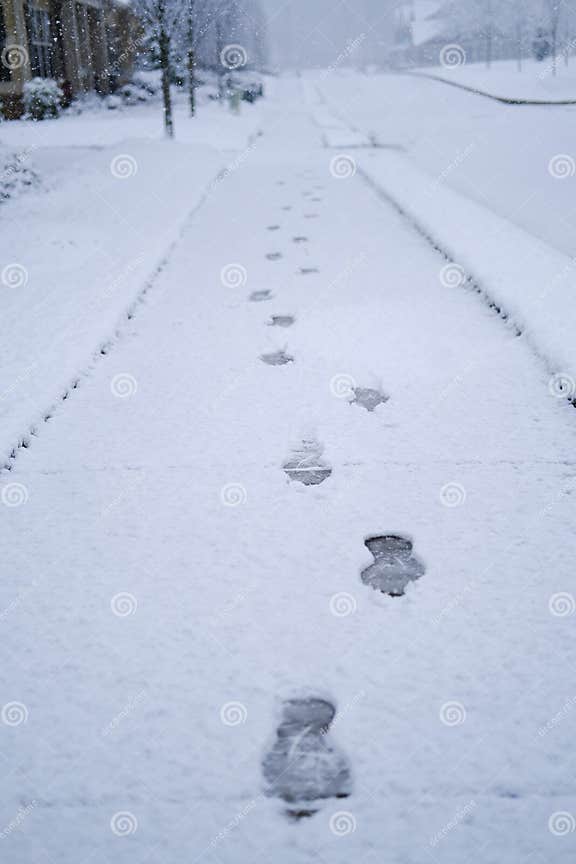 Steps in the Snow stock image. Image of blizzard, condos - 173372095