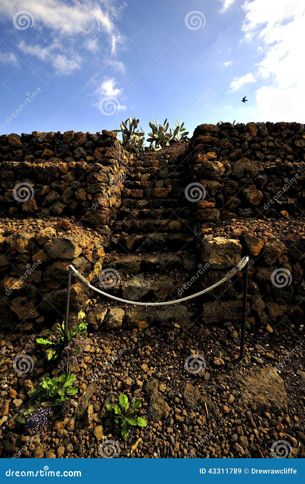 Steps stock image. Image of gardens, hill, stones, steps - 43311789
