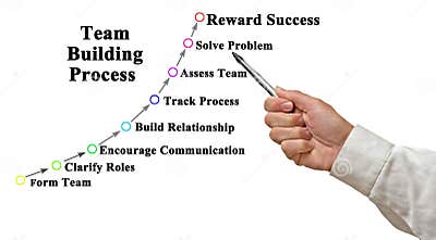 Team Building Process stock photo. Image of assess, encourage - 174967436